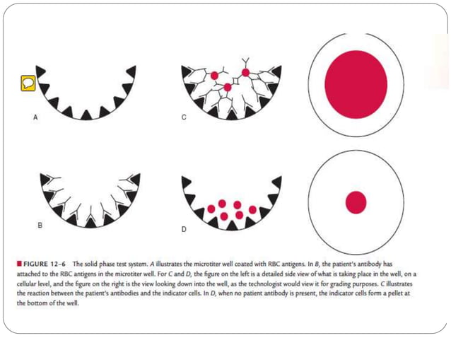 Crossmatching | PPTX