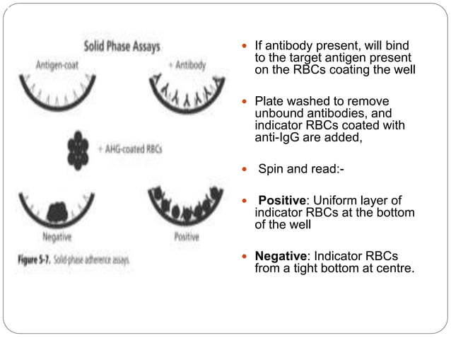 Crossmatching | PPTX
