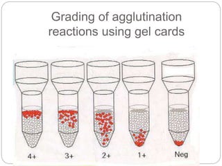 Crossmatching | PPT