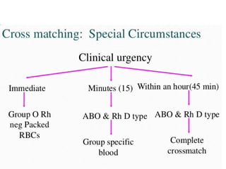 crossmatching.pptx...................... | PPTX