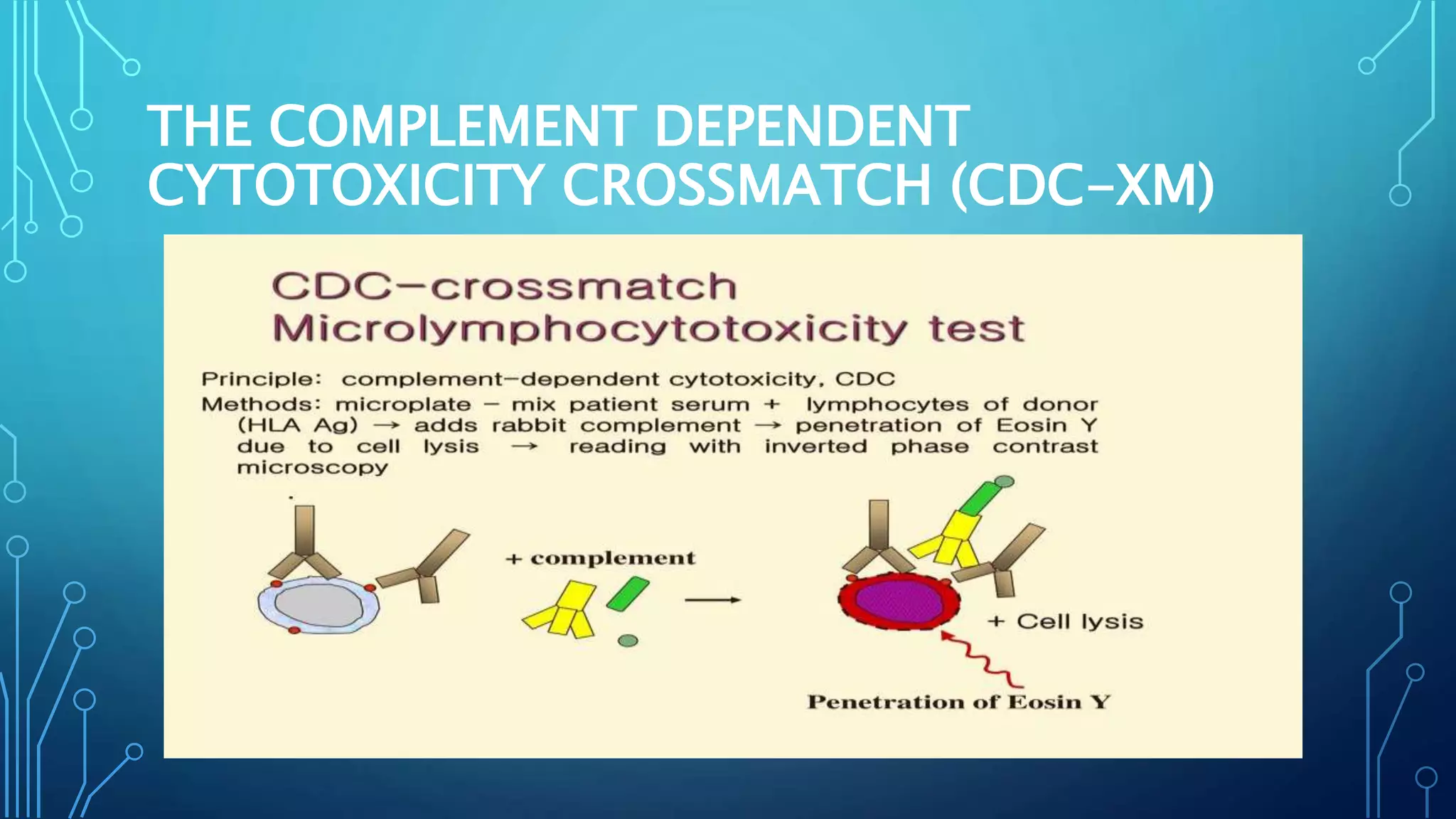 Crossmatch strategies in renal transplantation | PPTX | Blood Disorders ...