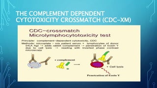 Crossmatch strategies in renal transplantation | PPTX