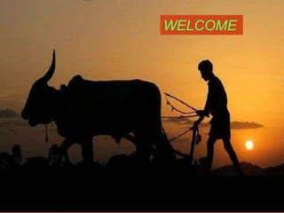 Crossover design ppt | PPTX