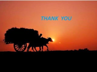 Crossover design ppt | PPTX