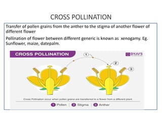 Cross Pollination Diagram