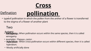 Cross pollination _20260101_151208_0000.pptx