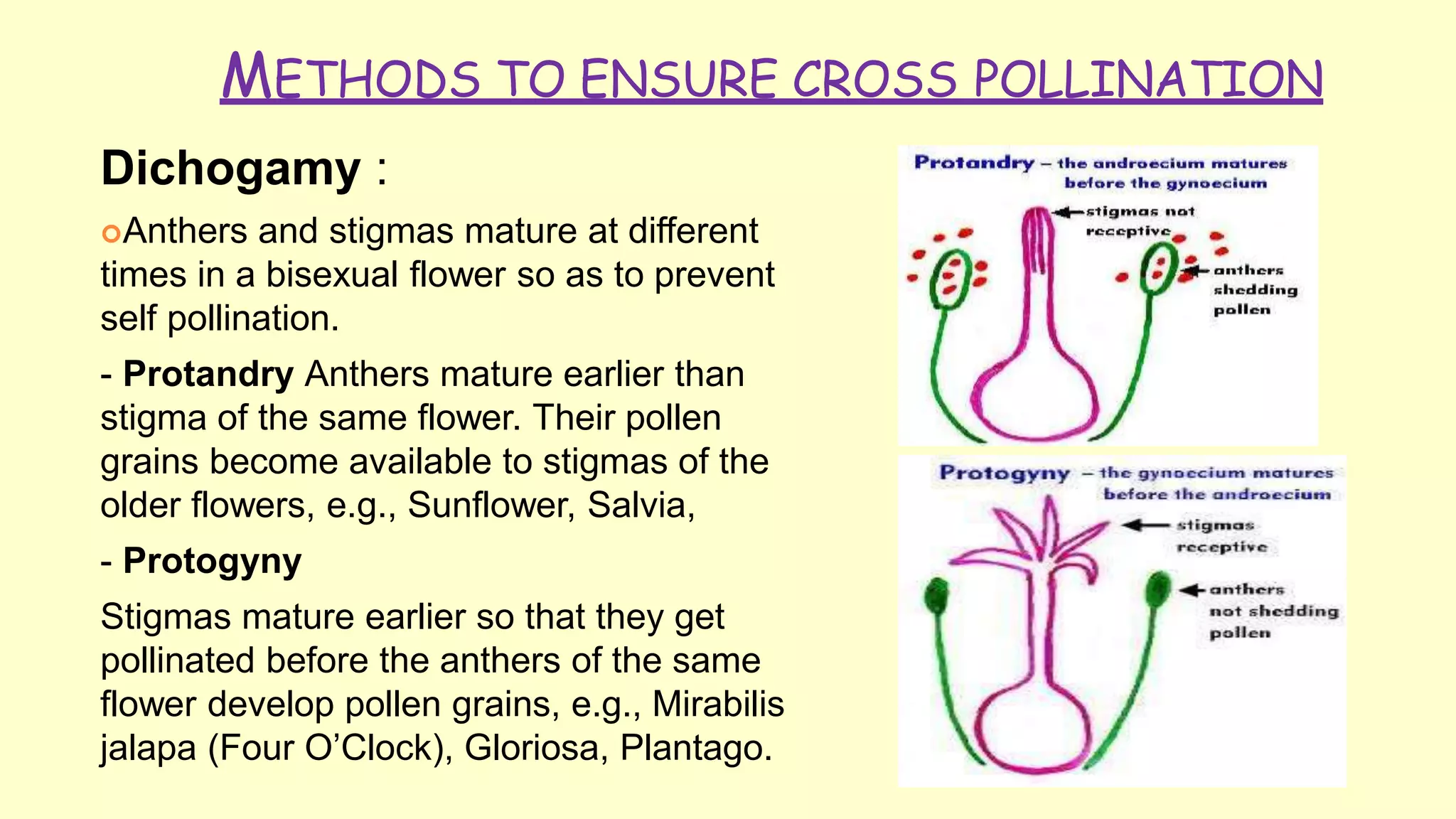 Cross pollination in plants | PPT