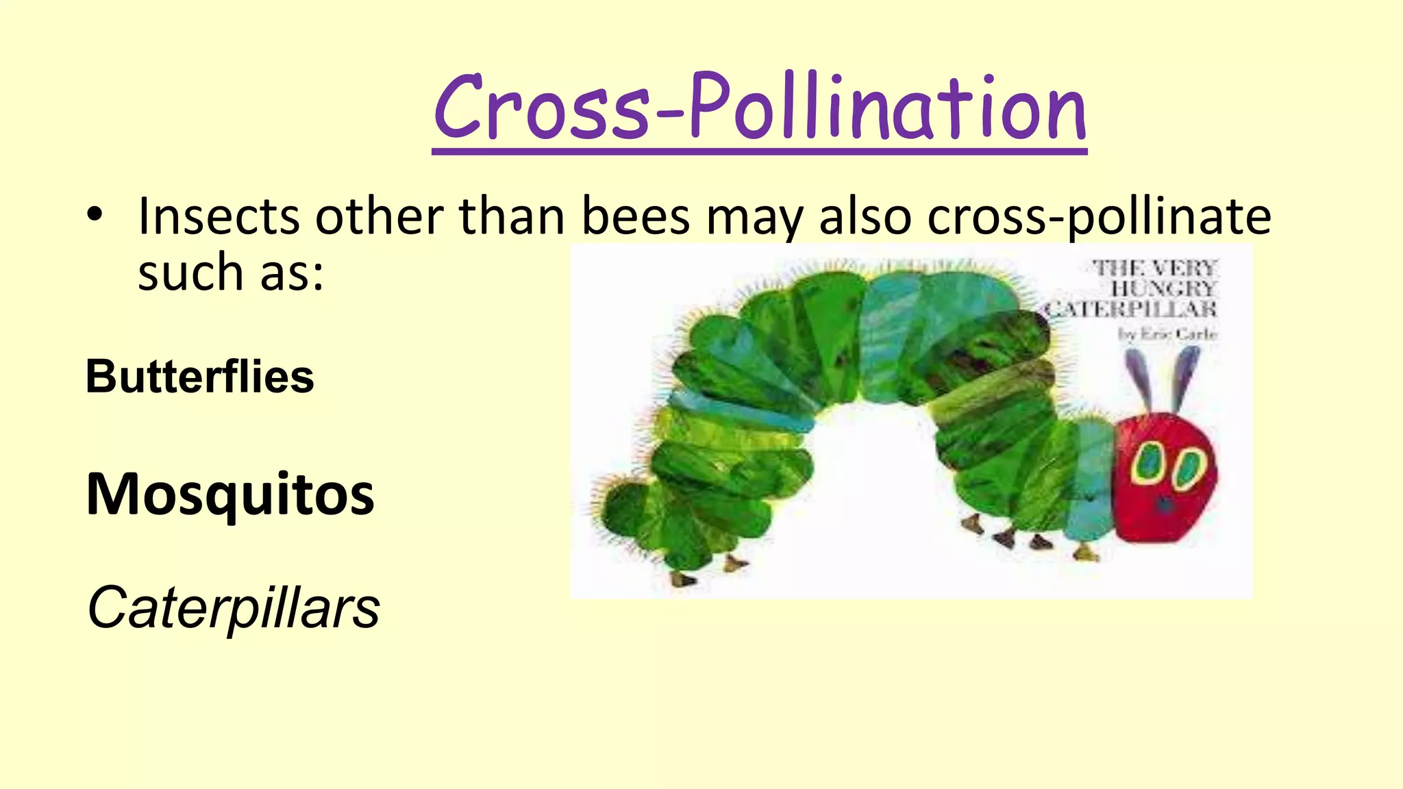 Cross pollination in plants | PPT
