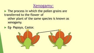 Cross pollination in plants | PPT