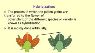 Cross pollination in plants | PPT