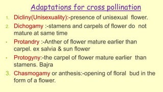 Cross pollination in plants | PPT