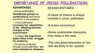 Cross pollination in plants | PPT