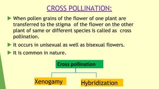 Cross pollination in plants | PPT
