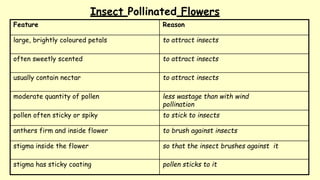 Self Pollination Examples