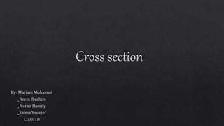 Cross section | PPTX
