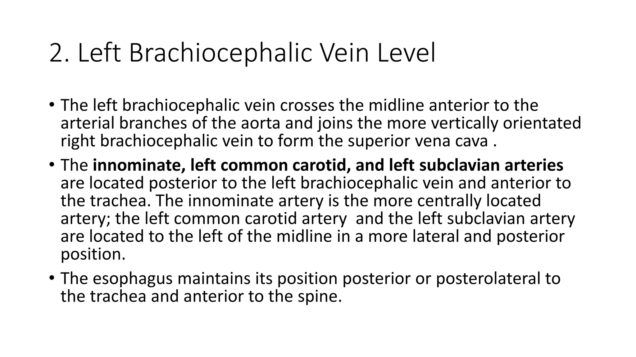 Cross sectional anatomy of chest by Dr. Milan Silwal, Resident, NAMS ...