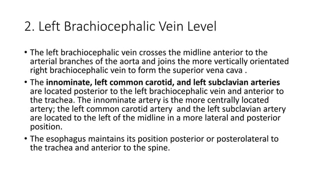 Cross sectional anatomy of chest by Dr. Milan Silwal, Resident, NAMS ...