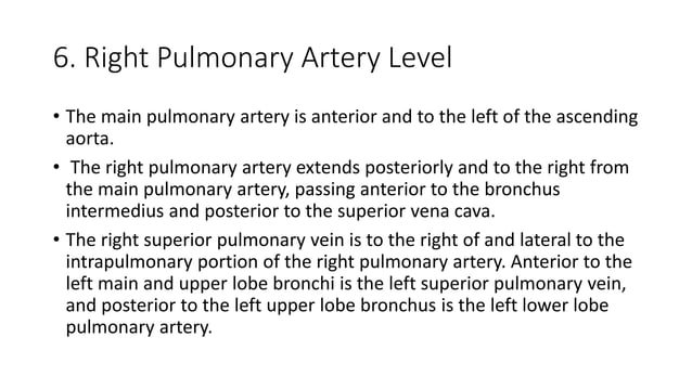 Cross sectional anatomy of chest by Dr. Milan Silwal, Resident, NAMS ...