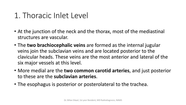 Cross sectional anatomy of chest by Dr. Milan | PPTX | Death, Injury ...