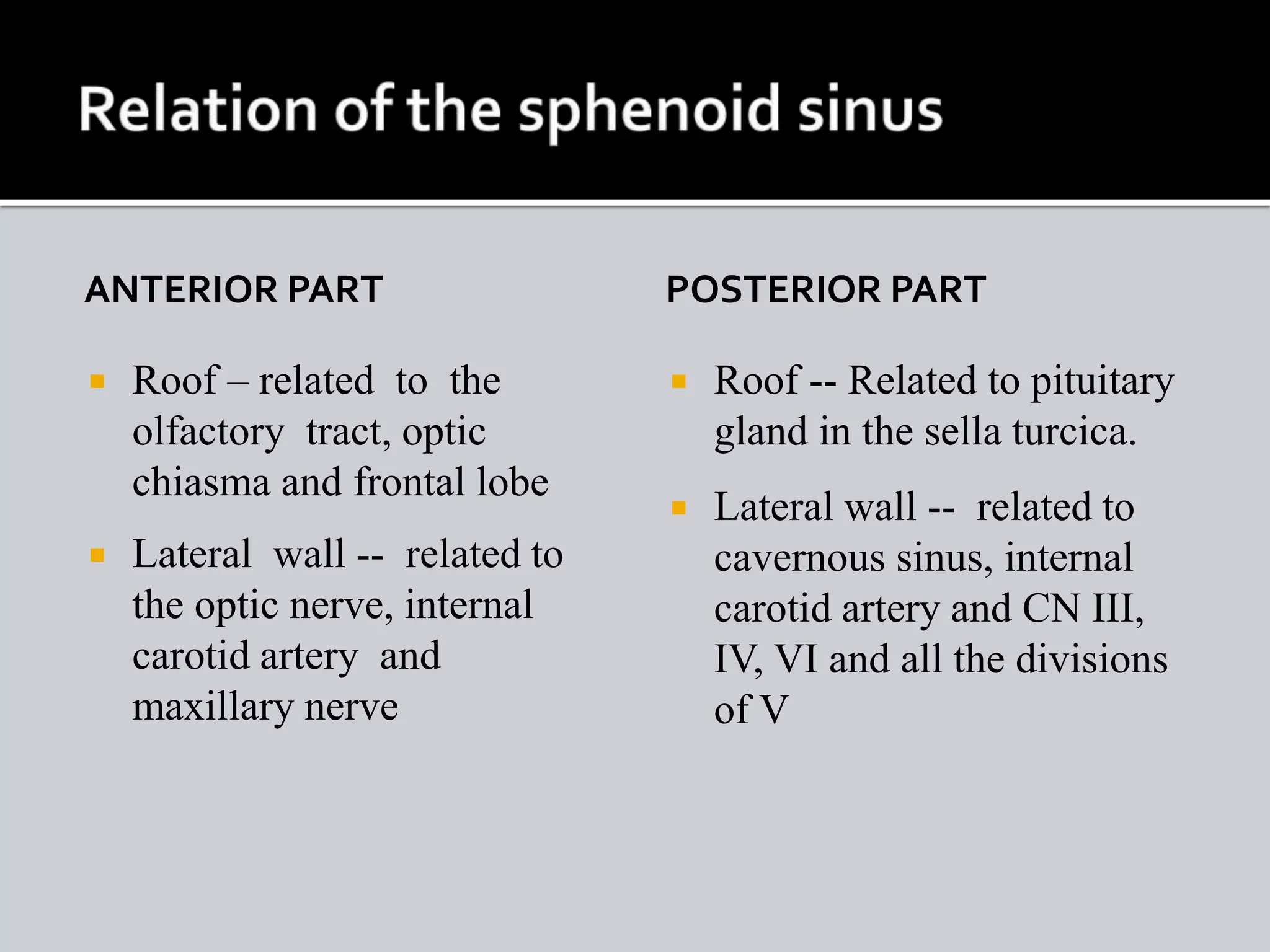 Cross Sectional Anatomy of Paranasal sinus | PPTX