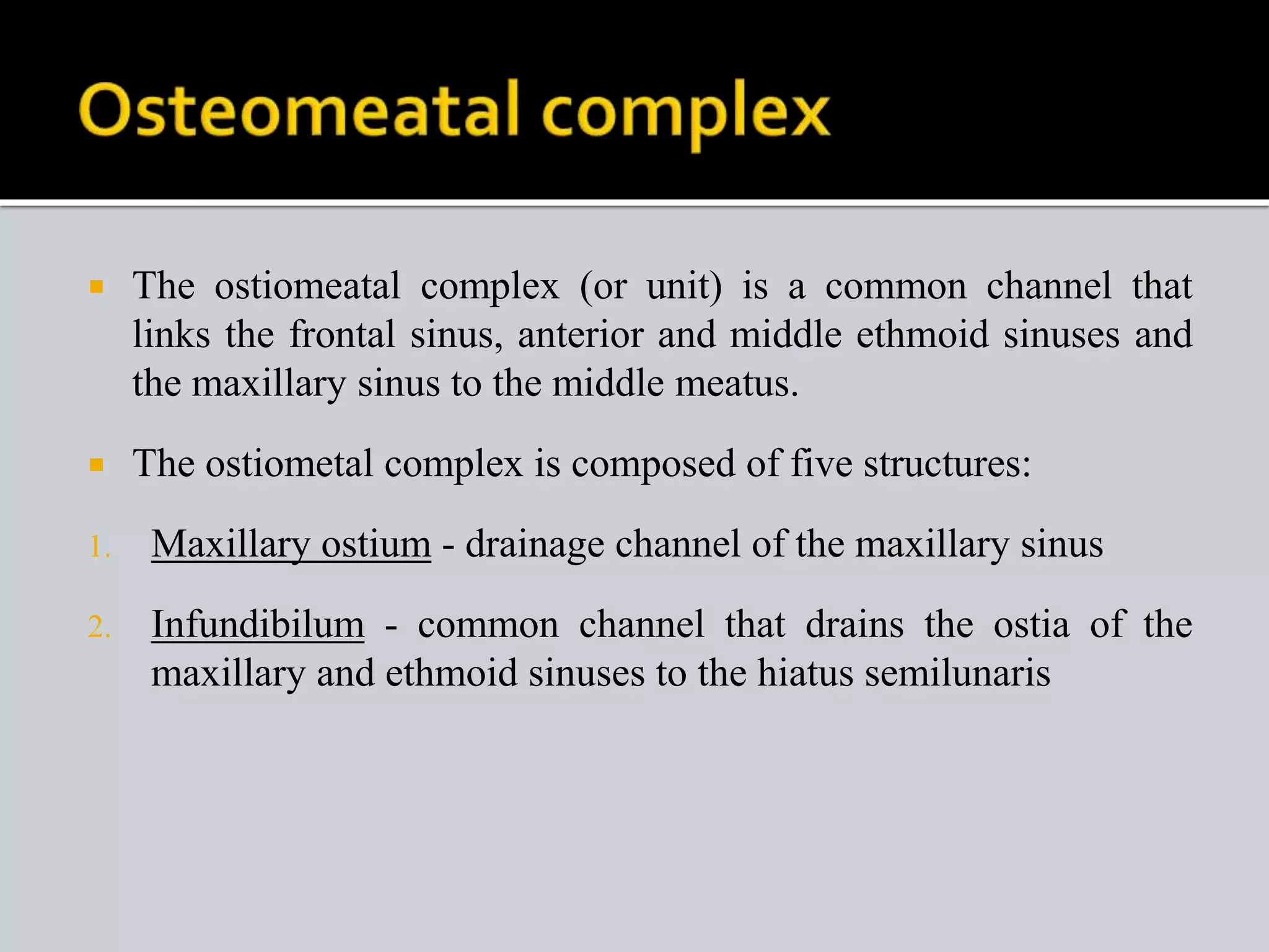 Cross Sectional Anatomy of Paranasal sinus | PPTX