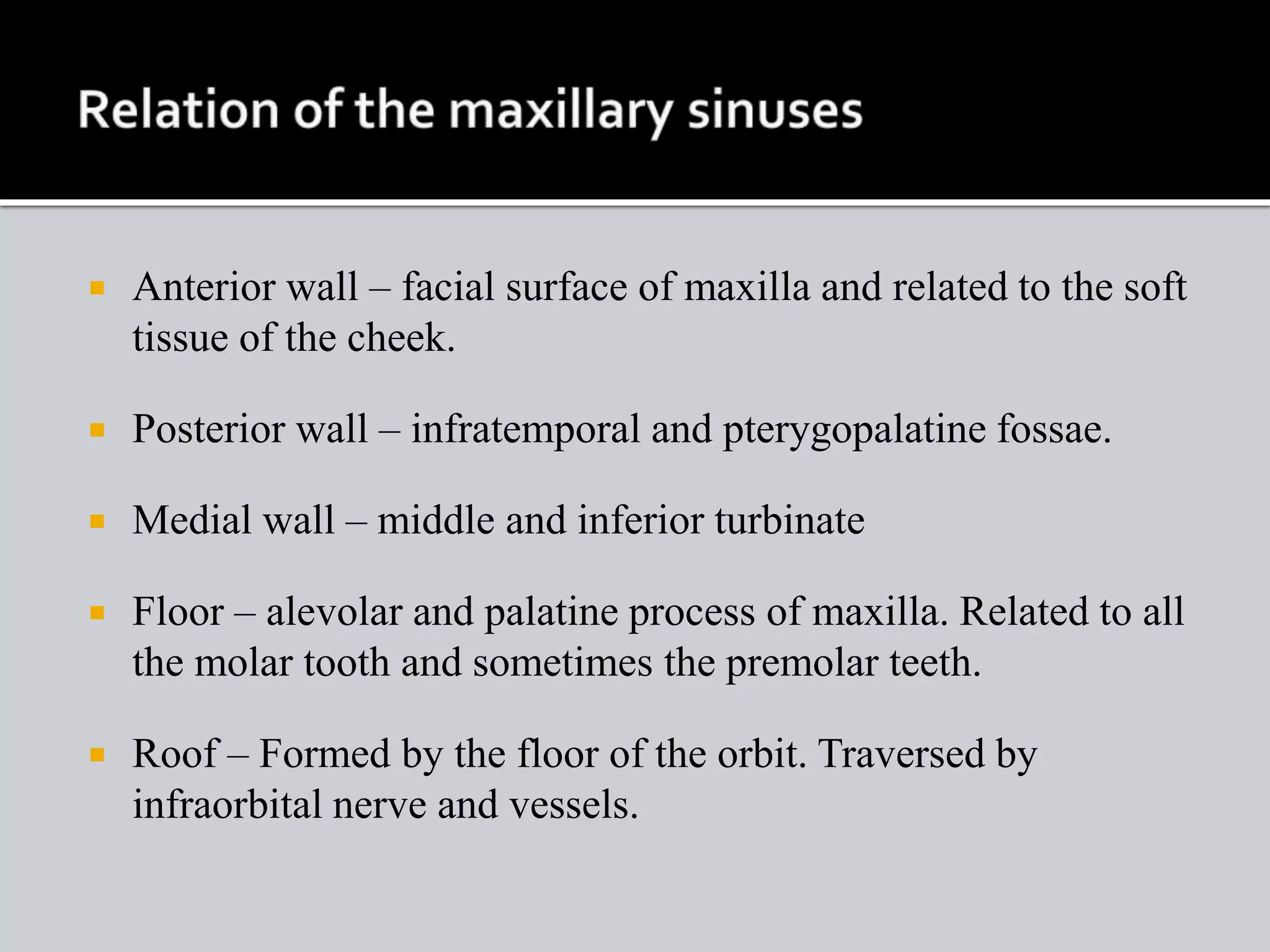 Cross Sectional Anatomy of Paranasal sinus | PPTX