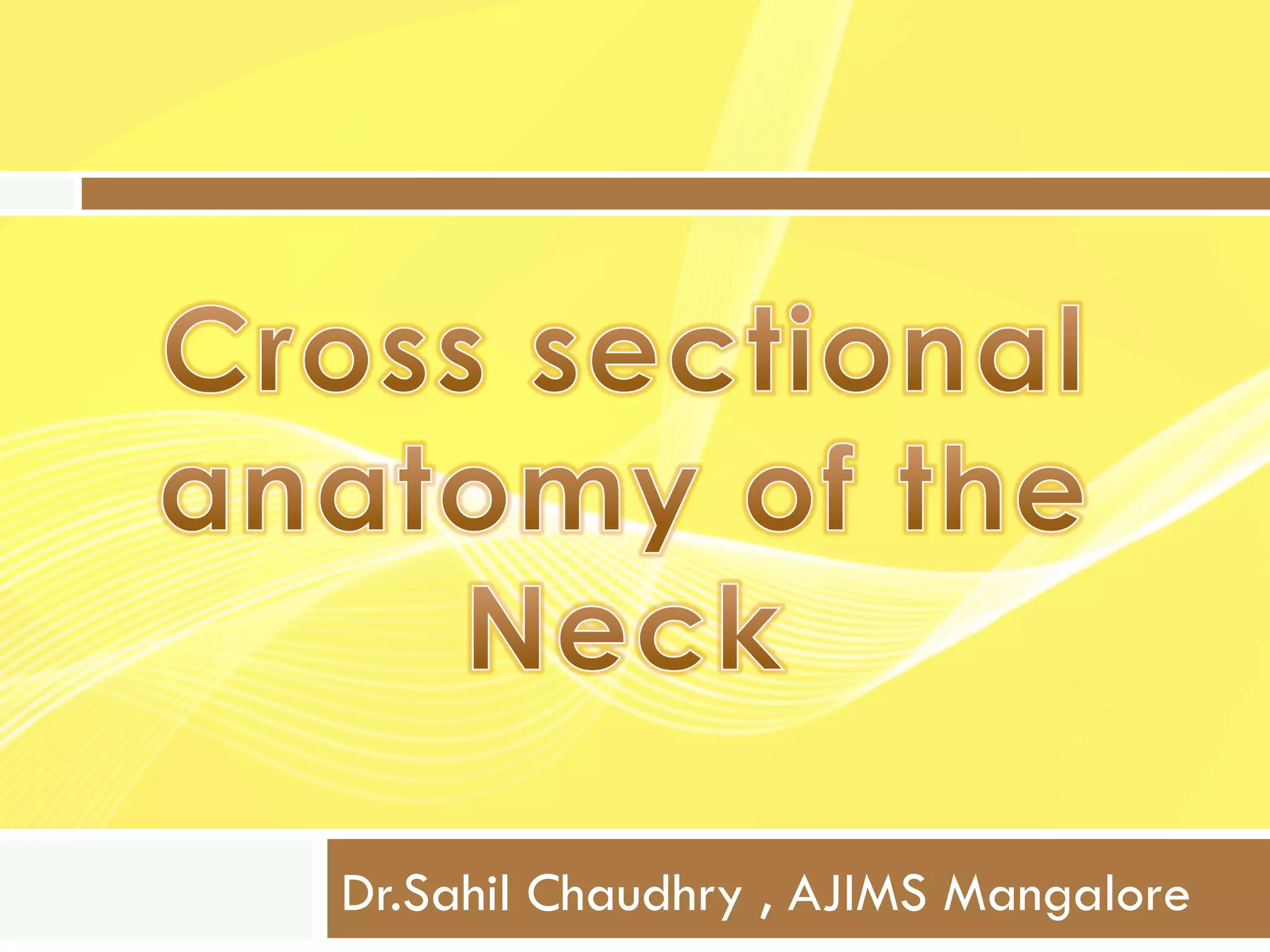 Cross sectional anatomy of the neck | PDF