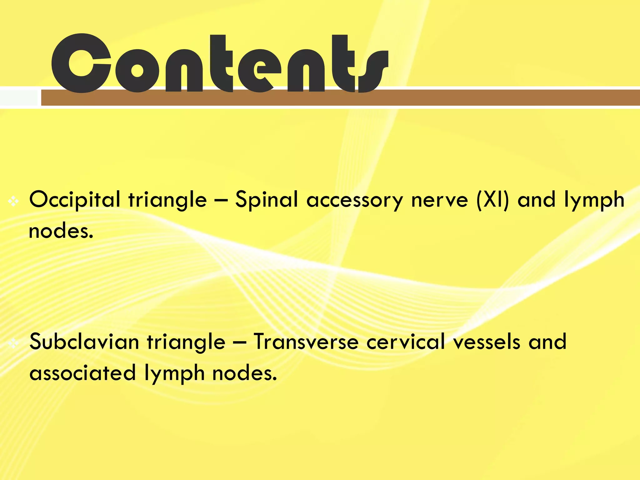 Cross sectional anatomy of the neck | PDF