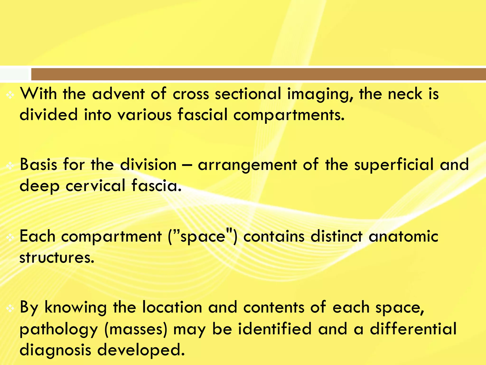 Cross sectional anatomy of the neck | PDF