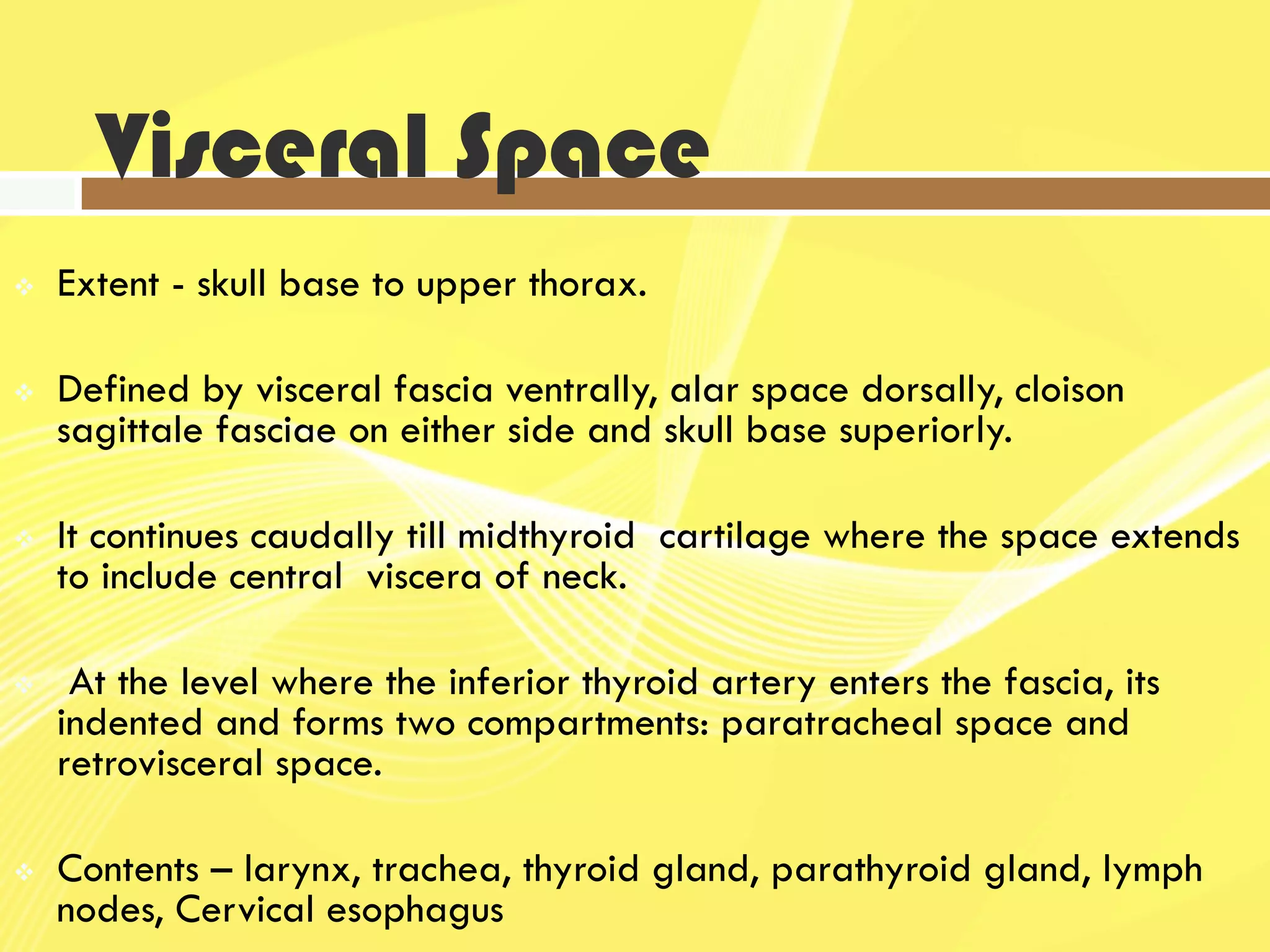 Cross sectional anatomy of the neck | PDF