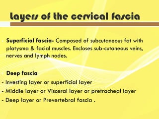 Cross sectional anatomy of the neck | PDF