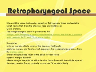 Cross sectional anatomy of the neck | PDF