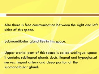 Cross sectional anatomy of the neck | PDF