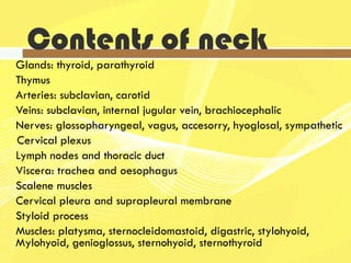 Cross sectional anatomy of the neck | PDF