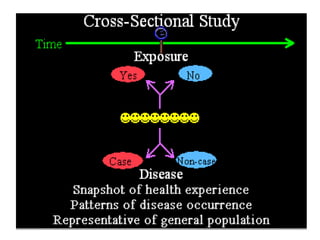 Cross sectional study | PDF