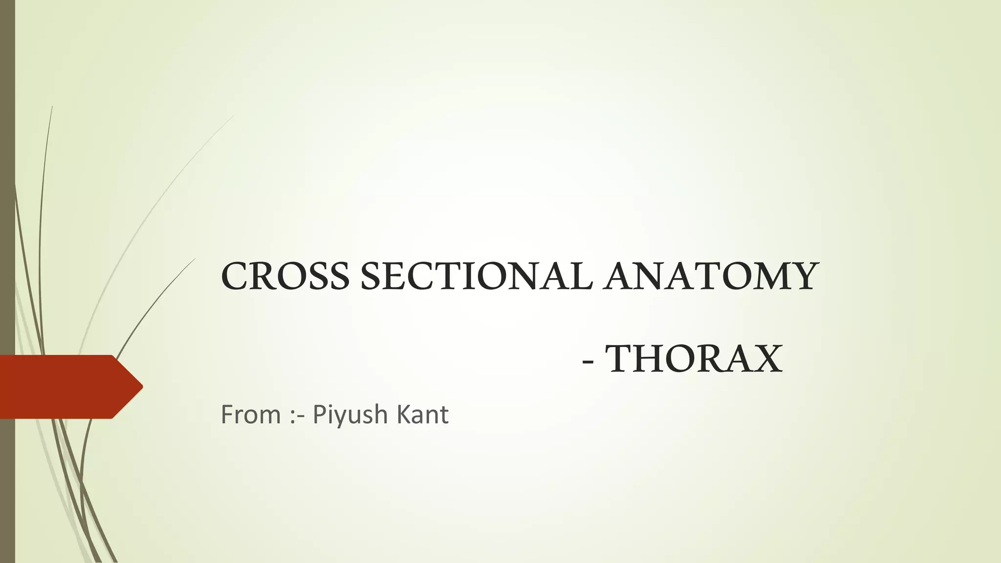 Cross section anatomy of thorax (1) | PPTX