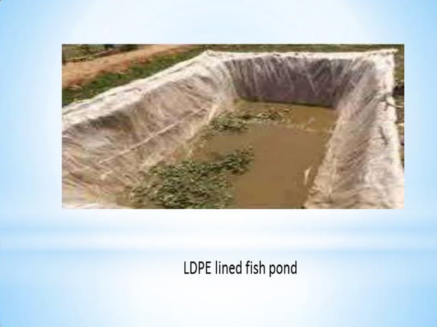 Cross section of a fish pond | PPTX