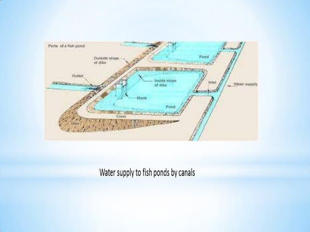 Cross section of a fish pond | PPTX