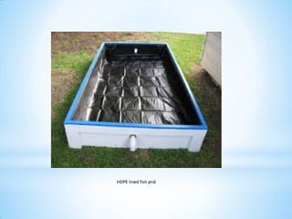 Cross section of a fish pond | PPTX