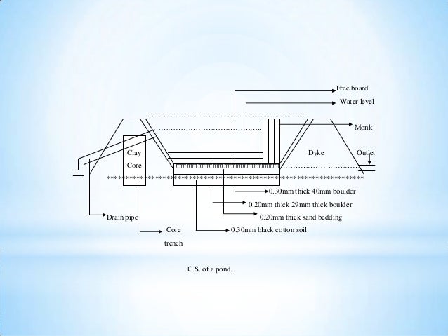 Cross section of a fish pond