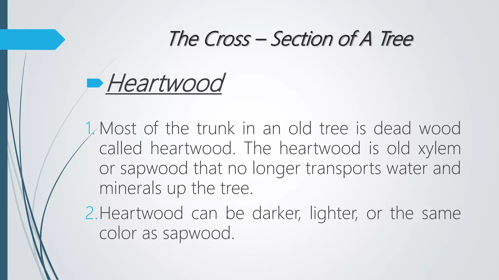 Cross section of a tree | PPTX
