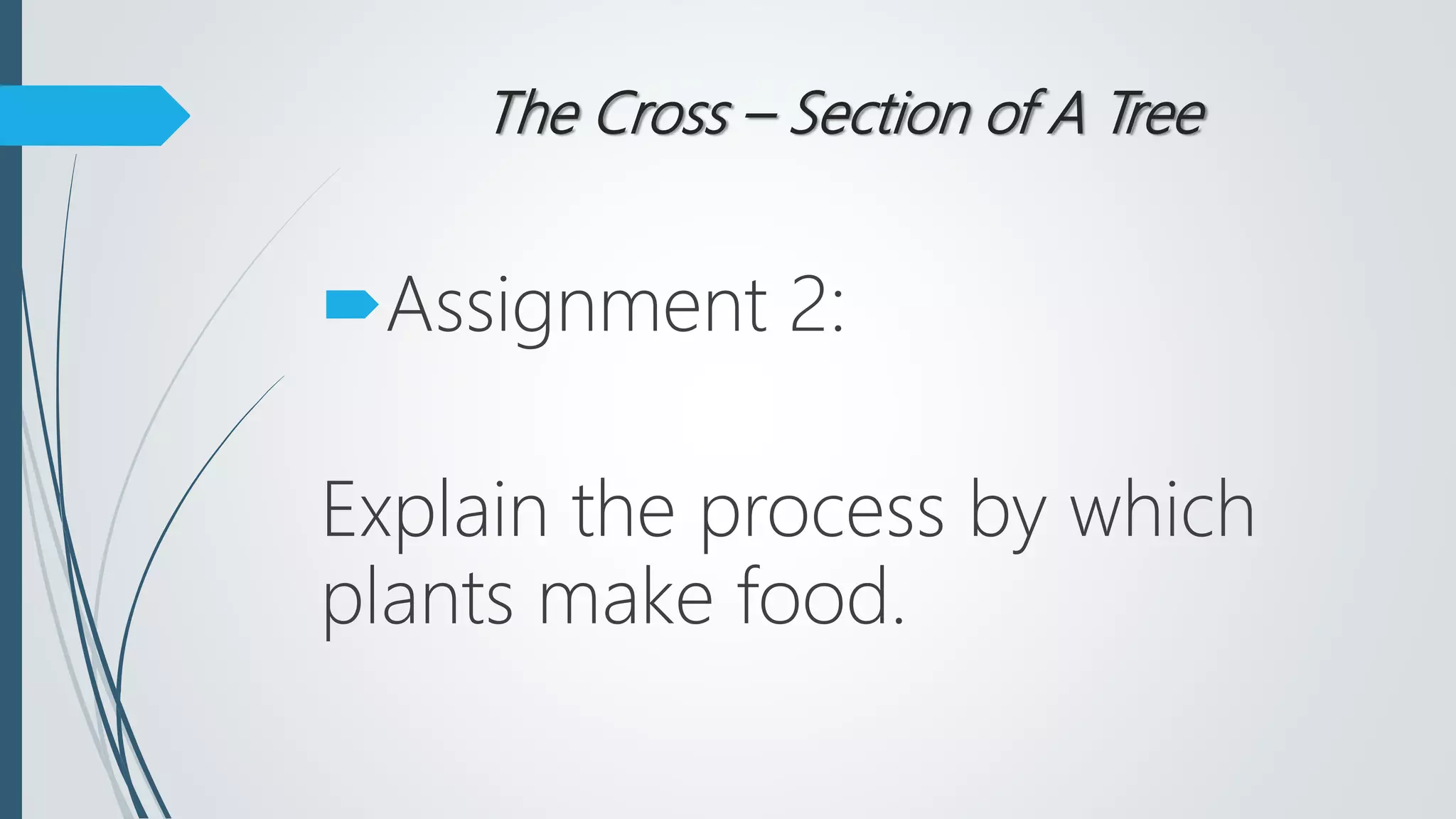 Cross section of a tree | PPTX