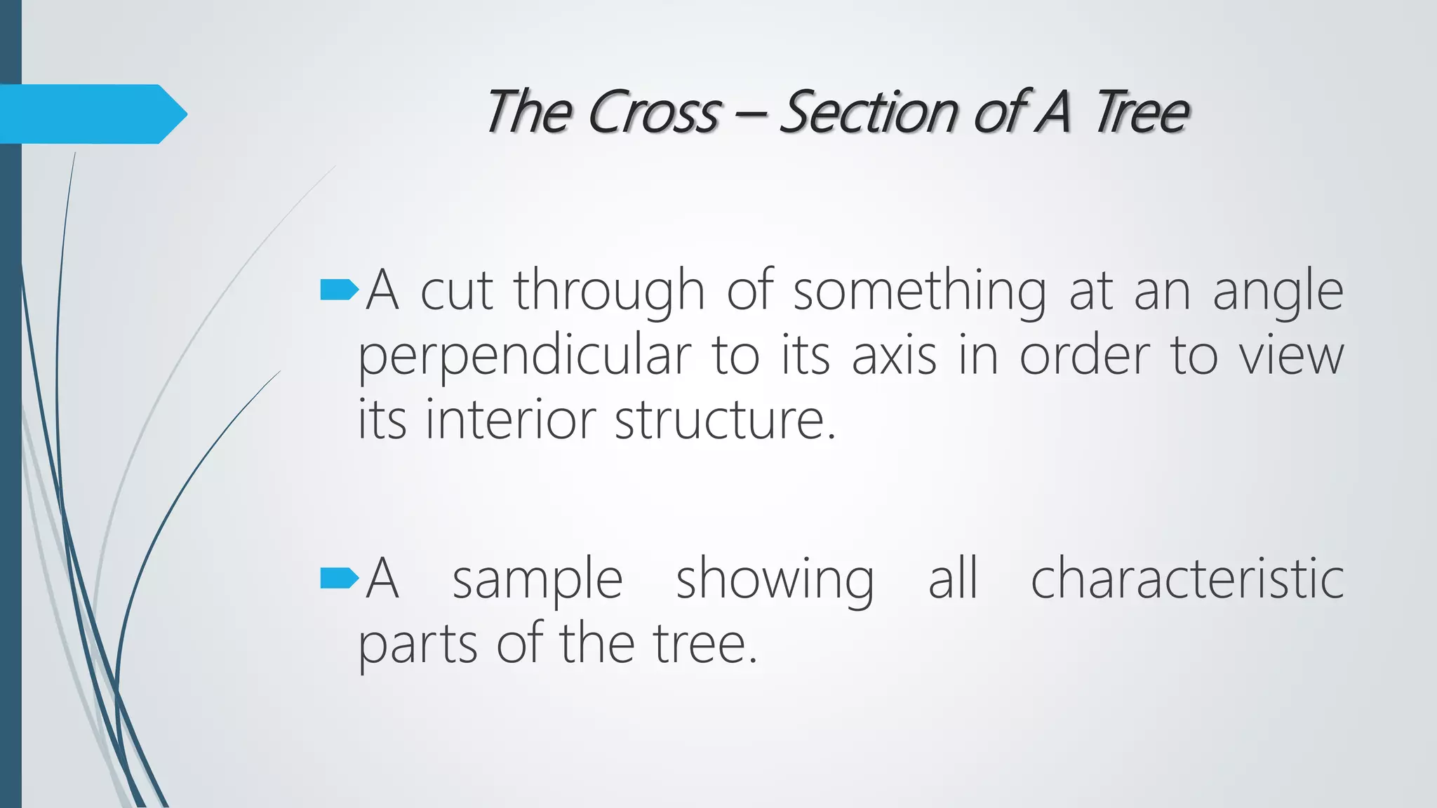 Cross section of a tree | PPTX