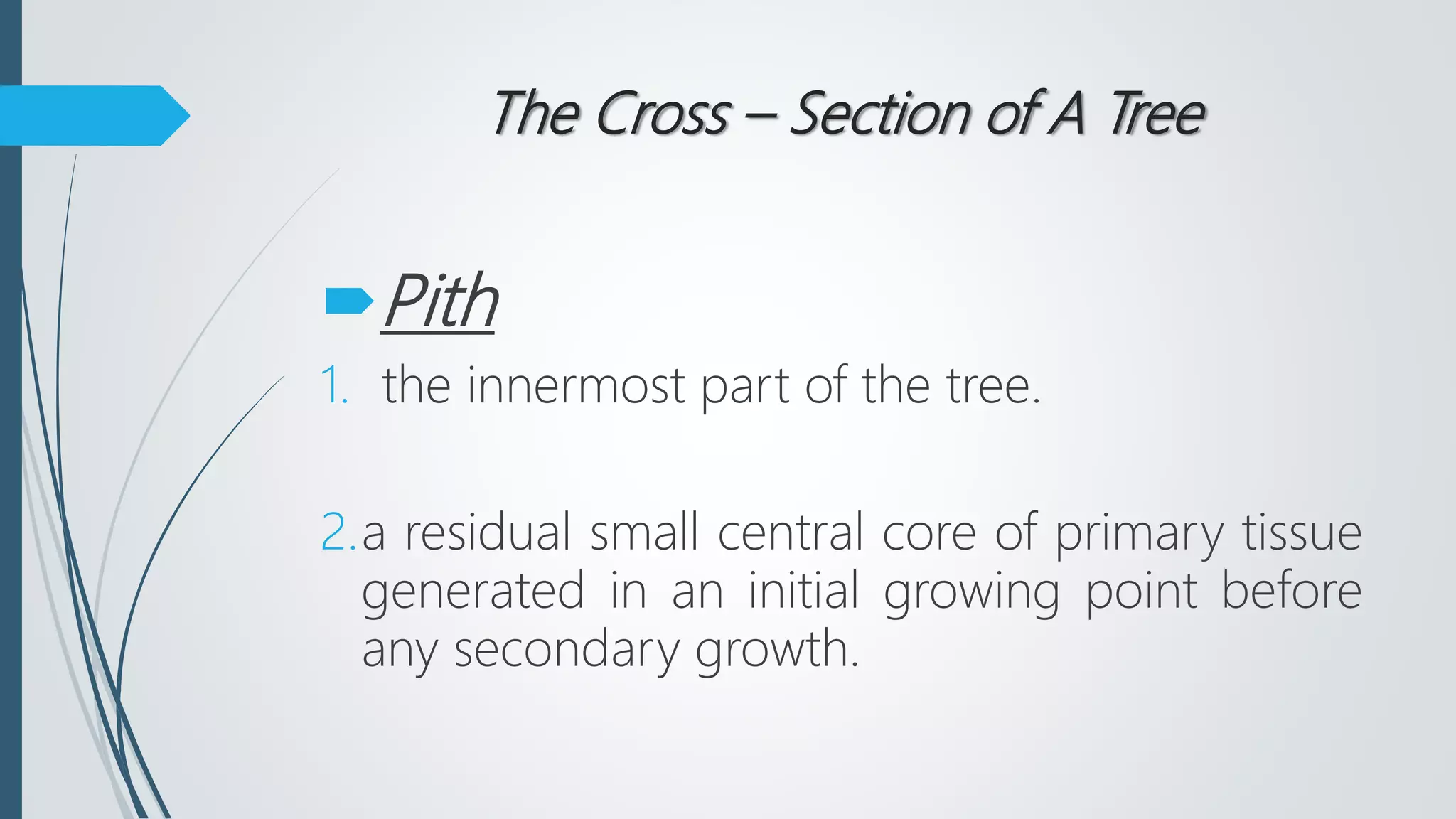 Cross section of a tree | PPTX