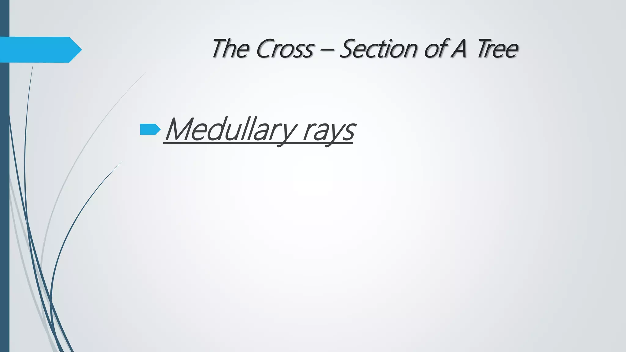 Cross section of a tree | PPTX