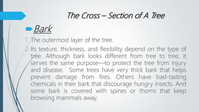 Cross section of a tree | PPTX