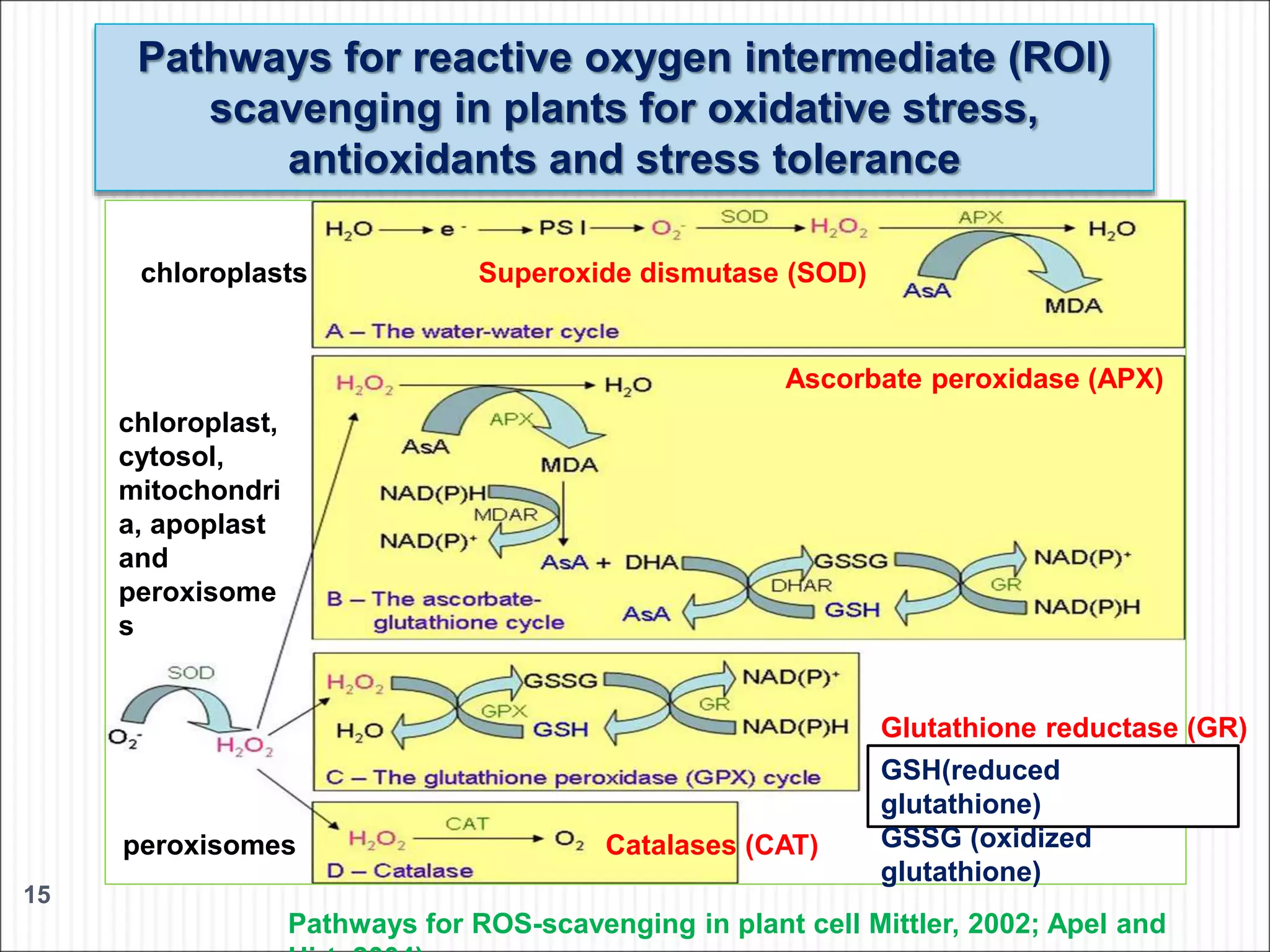 Cross talk between signalling pathway | PPT