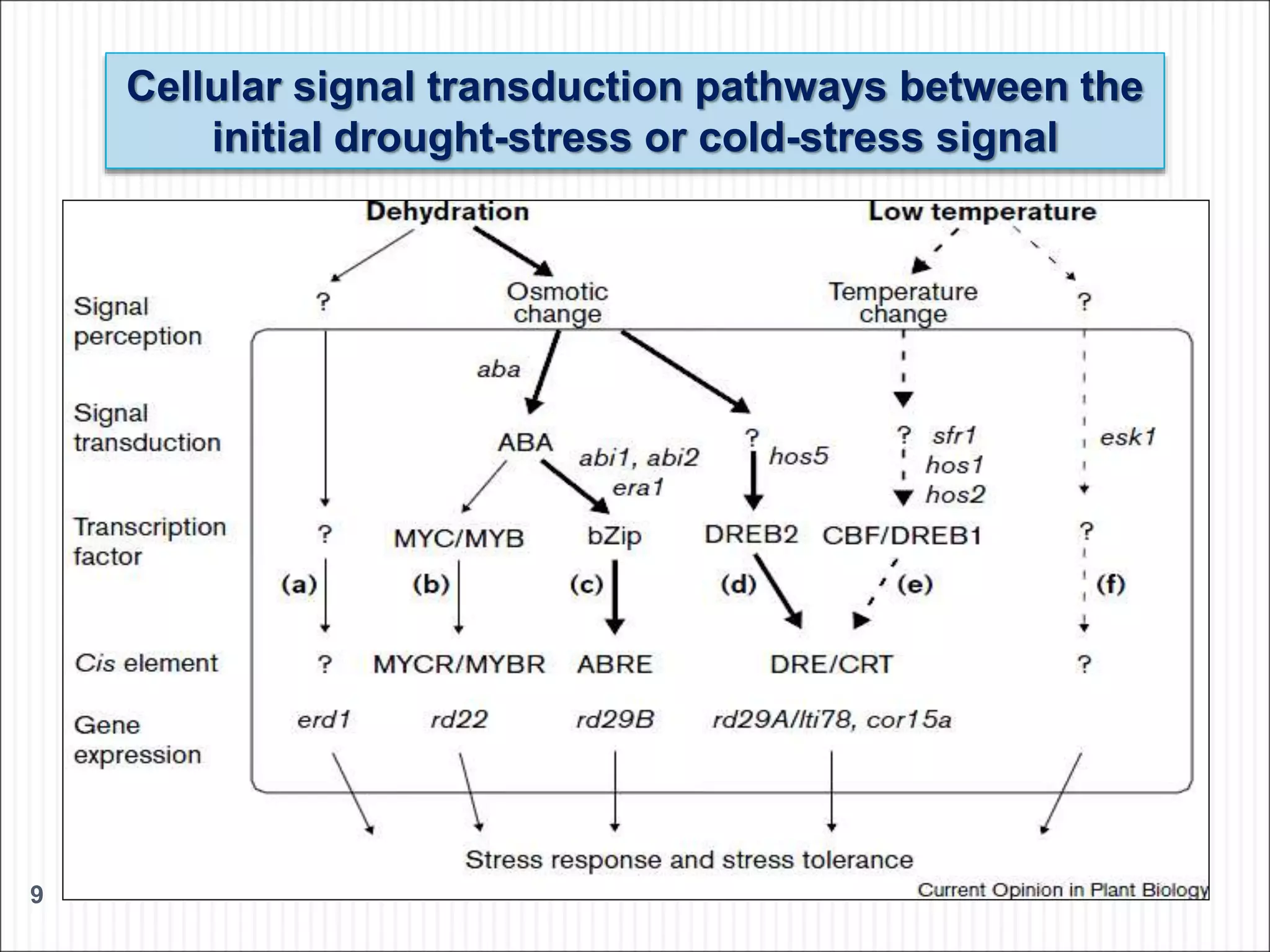 Cross talk between signalling pathway | PPT