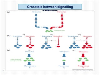 Cross talk between signalling pathway | PPT