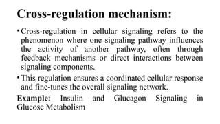 CROSSTALK CONCEPT IN CELLULAR SIGNALING.pptx